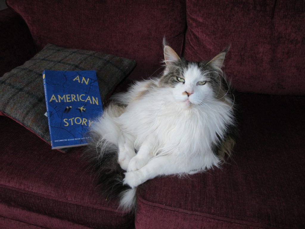 Cat and ARC – Christopher Priest